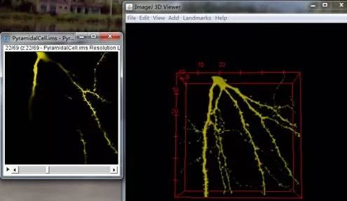 显示三维图片序列_老司机带你解锁ImageJ三维图像分析-CSDN博客