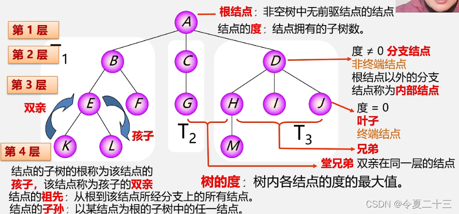 【数据结构】数据结构与算法基础 课程笔记 第五章 树和二叉树配n个字符编码的头指针矢量的区别和联系 Csdn博客