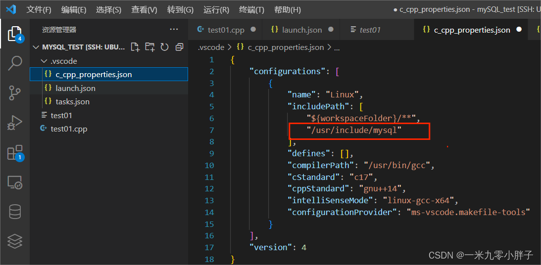 windows下vscode连接Linux中的MySQL（非常实用）_vscode 连接数据库-CSDN博客
