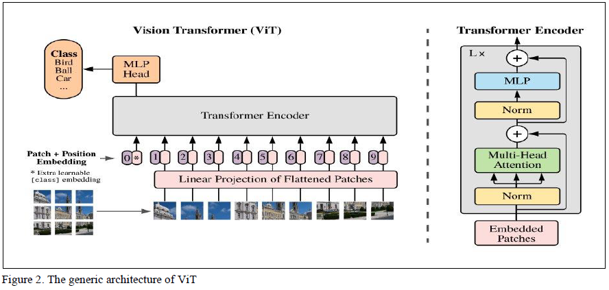 最新轻量ViT综述！后Transformer时代如何发展？_tinyvit缺点-CSDN博客
