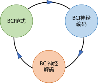 长文干货 | BCI范式与神经编码-CSDN博客