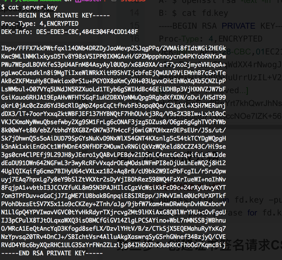 使用openssl 生成免费证书_openssl怎么申请免费证书-CSDN博客