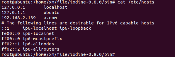 DNS隐蔽隧道工具--iodine流量特征检测分析_iodine dns-CSDN博客