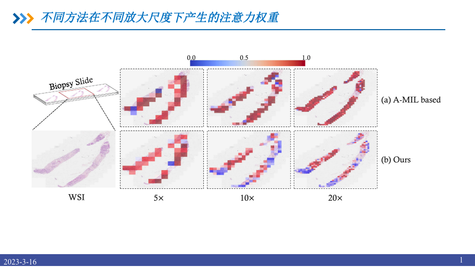 论文阅读:multi Modal Multi Instance Learning Using Weakly