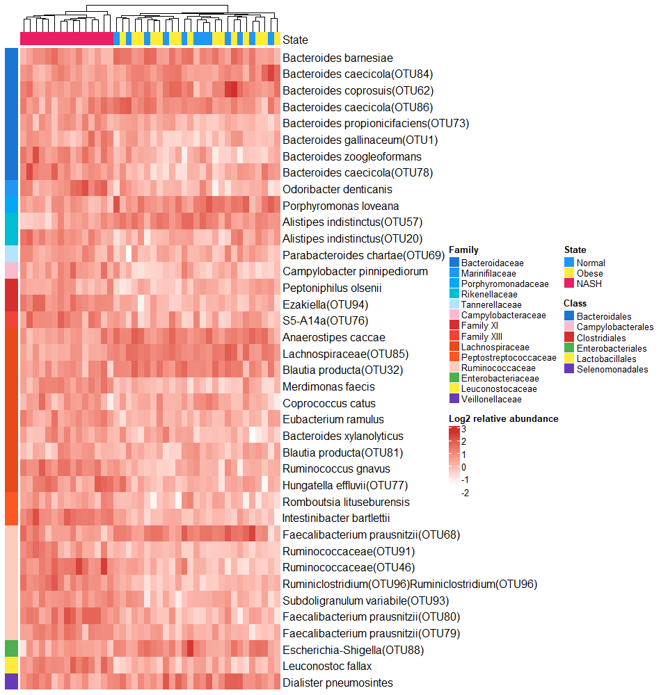 跟着iMeta学做图｜ComplexHeatmap包绘制热图展示不同样本物种相对丰度-CSDN博客