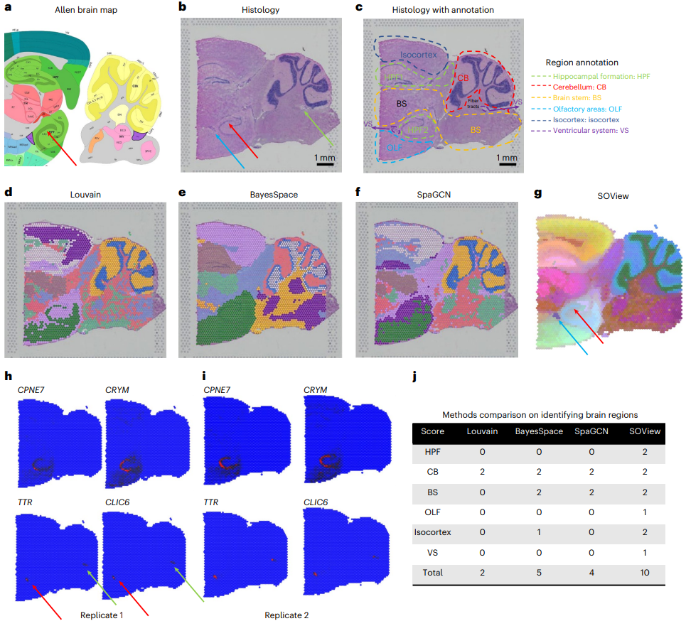 Nature Methods | 空间组学数据库推荐：SODB_wen05054105的博客-CSDN博客