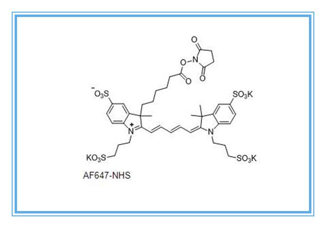 远红外荧光染料：407627-60-5，AF647 NHS ester，Alexa Fluor 647 NHS，用于成像和流式细胞分析中稳定信号的生成_647染料的激发光-CSDN博客
