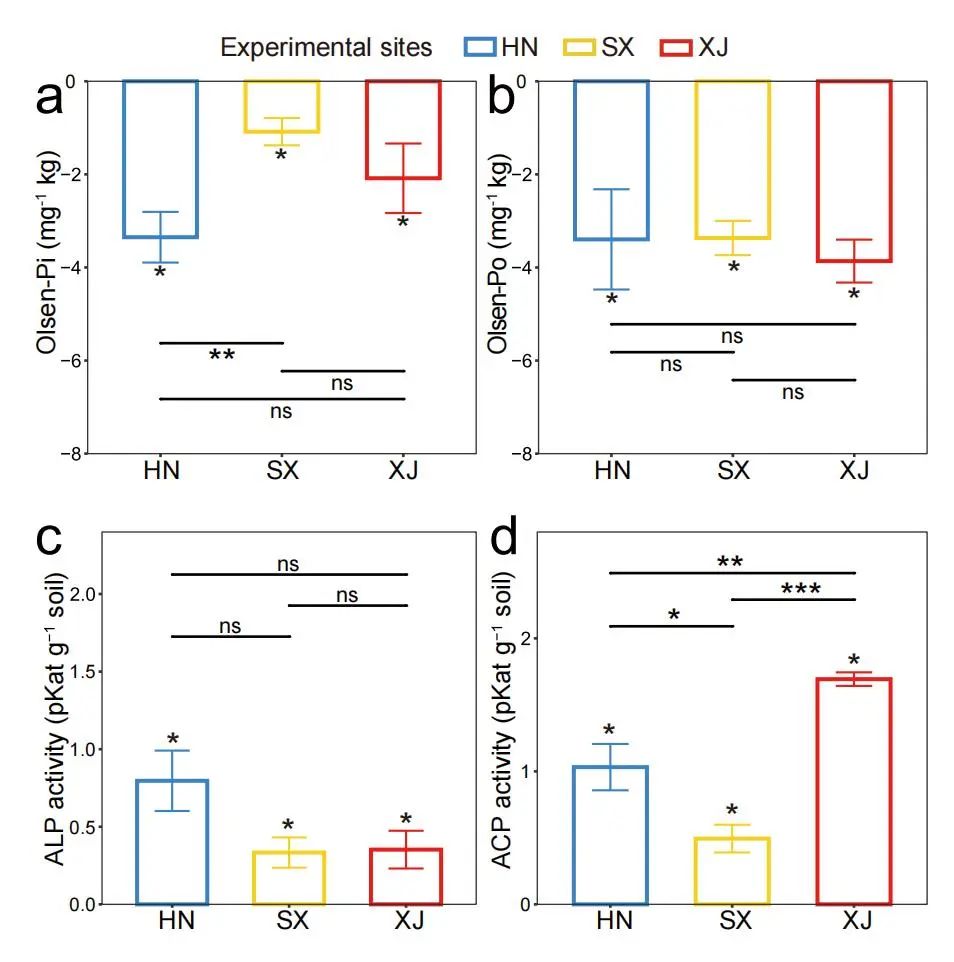 New Phytologist | 中农冯固组揭示菌丝际核心微生物组帮助AM真菌矿化有机磷-CSDN博客