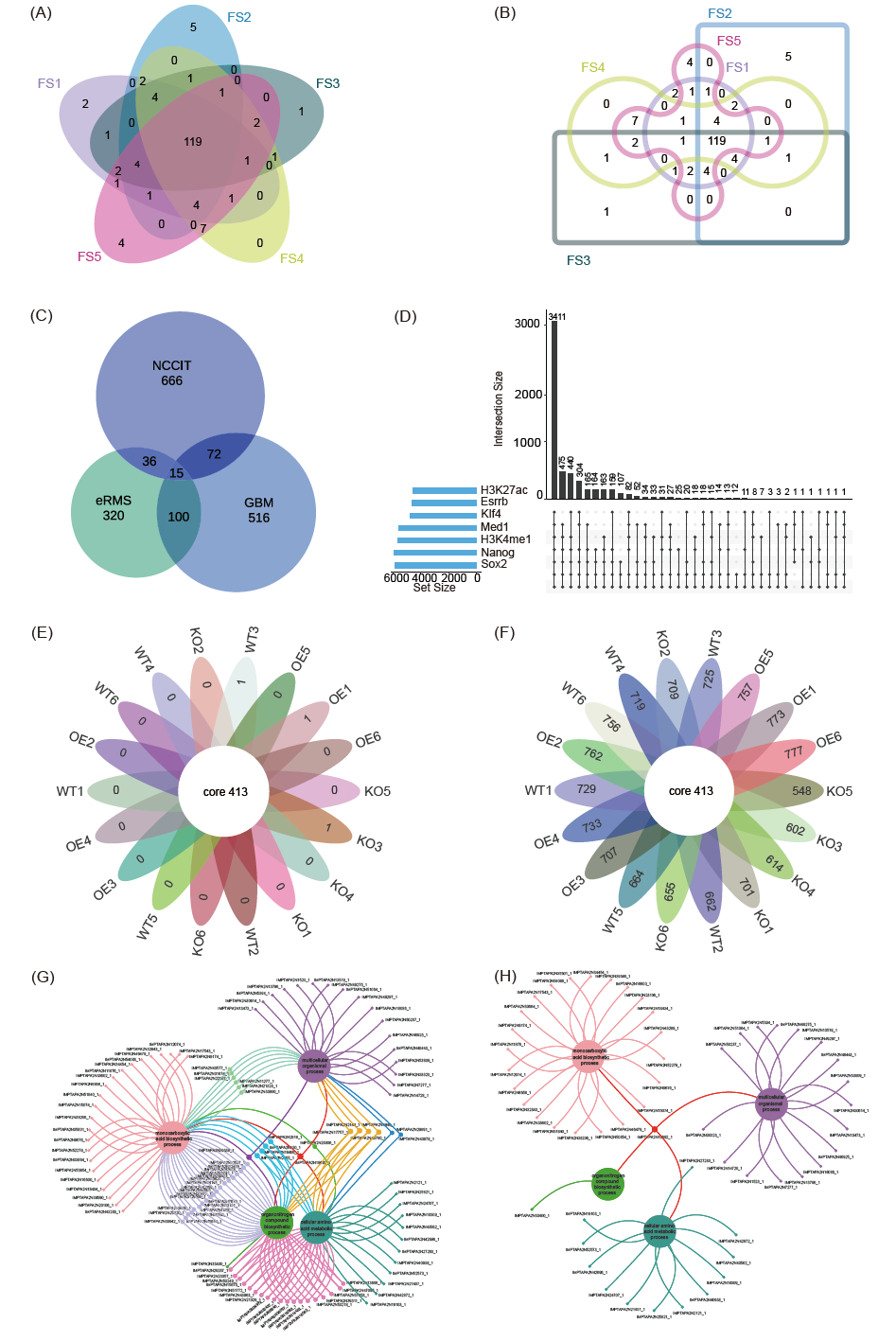 iMeta | 最全可视化韦恩图和集合图工具EVenn使用手册-CSDN博客
