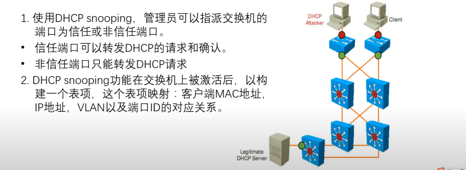 Cisco Dhcp Snooping Csdn博客