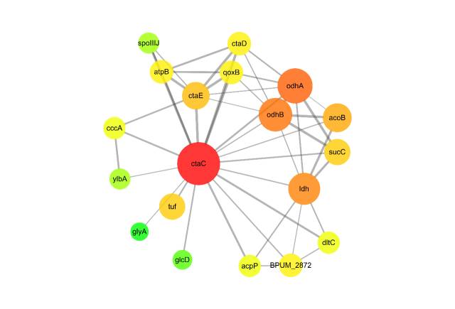 cytoscape使用方法_APT干货||Cytoscape展示String互作数据实战教程（二）_熊凌云的博客-CSDN博客