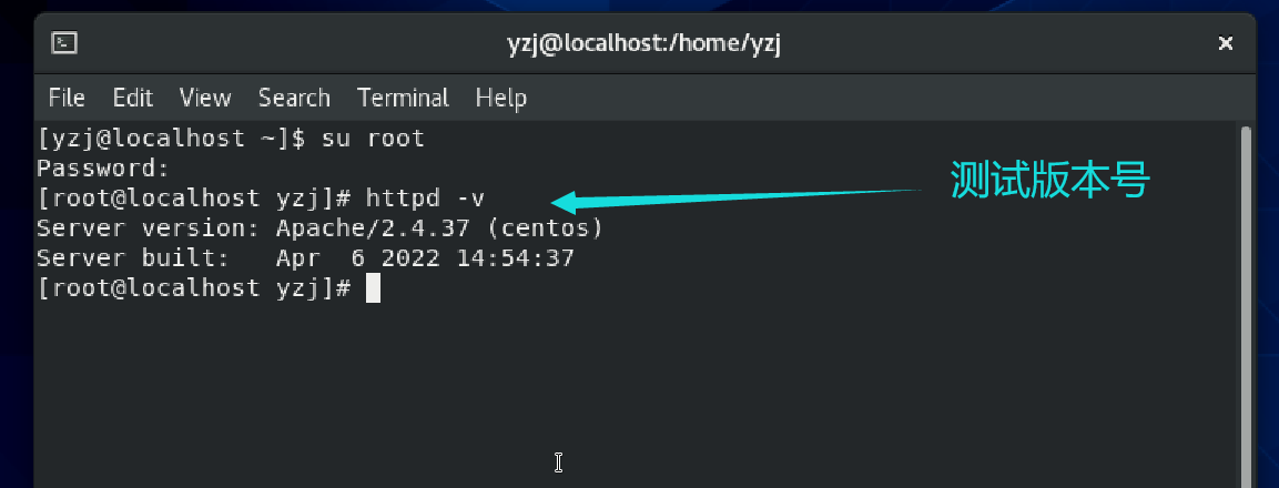 Linux实验四：centos8操作系统中搭建apache 服务器 Centos8配apache Csdn博客