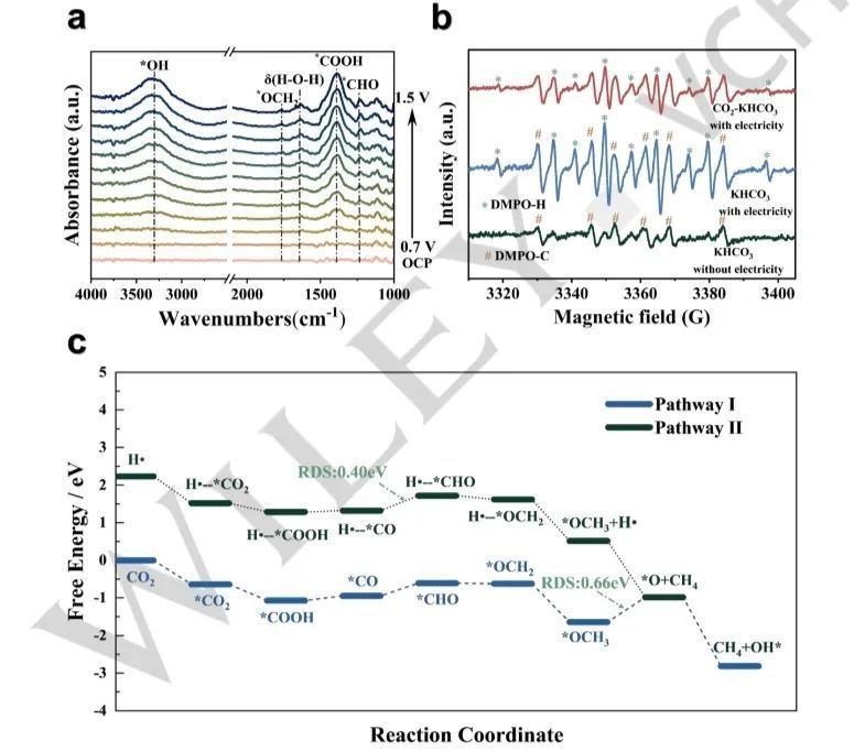 【VASP解读】 Angew：低配位Cu-C2单原子电催化剂助力CO2RR高效制甲烷_电催化co2rr产甲烷-CSDN博客