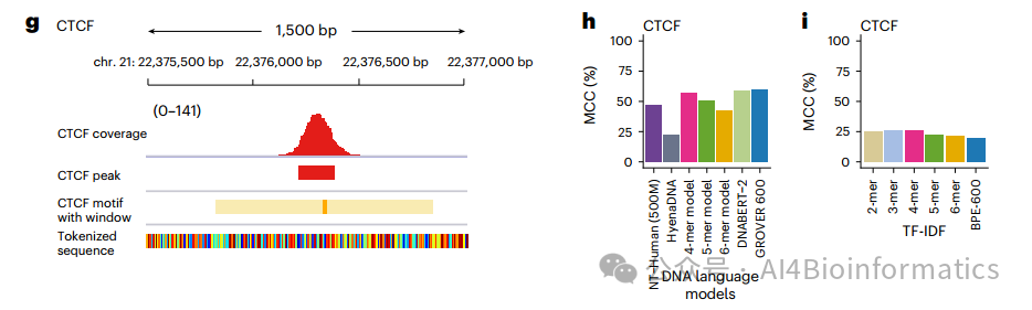 NMI 2024 | GROVER：学习人类基因组序列上下文的DNA语言模型_dna language model grover learns sequence context -CSDN博客