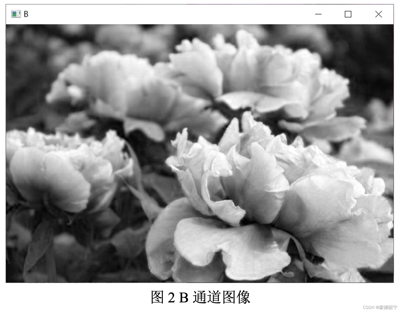 【计算机视觉】opencv 4高级编程与项目实战（python版）【4】：通道详解opencv4详解基于python Csdn博客