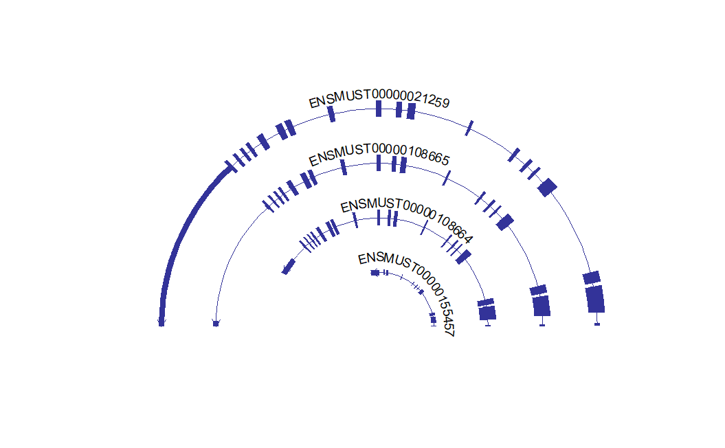 transPlotR 优雅的绘制基因转录本结构-CSDN博客