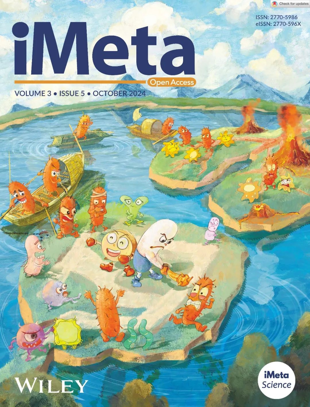 iMeta | 汤步富/罗鹏/黄昭-靶向SLC7A11增强肝细胞肝癌消融中的免疫反应-CSDN博客