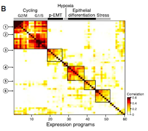 10X单细胞（10X空间转录组）之NMF的实际运用示例（探索肿瘤特征）_nmf单细胞肿瘤异质性-CSDN博客