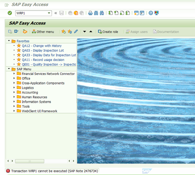 SAP RETAIL 执行事务代码WRP1，报错-Transaction WRP1 cannot be executed-_vbo1 sap ...