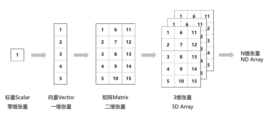 熟练掌握tensor的基本操作 Csdn博客