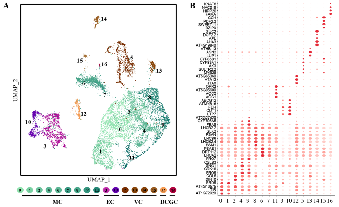 snRNA-seq vs scRNA-seq谁更nice，用数据说话_scrna snrna-CSDN博客