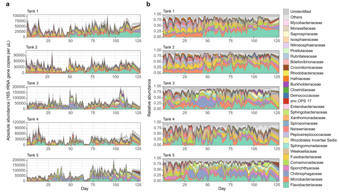Microbiome文章强调利用内标法进行扩增子绝对定量测序可以更好揭示微生物组动力学中突出的核心物种和相互作用...-CSDN博客