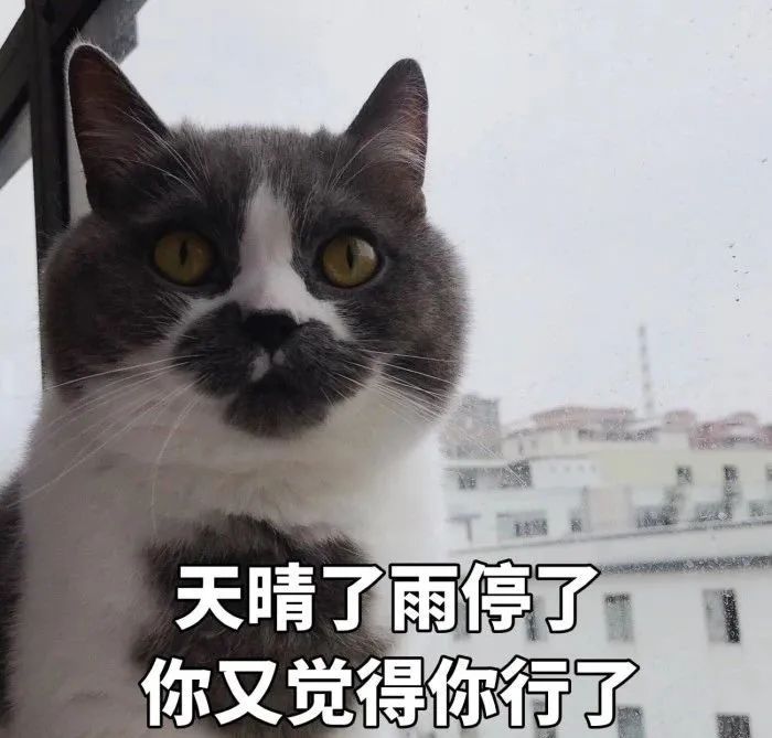 用Spark-Scala训练LightGBM模型_spark ml 使用lightgbm-CSDN博客