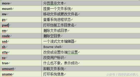 Linux中的/bin目录详解-CSDN博客