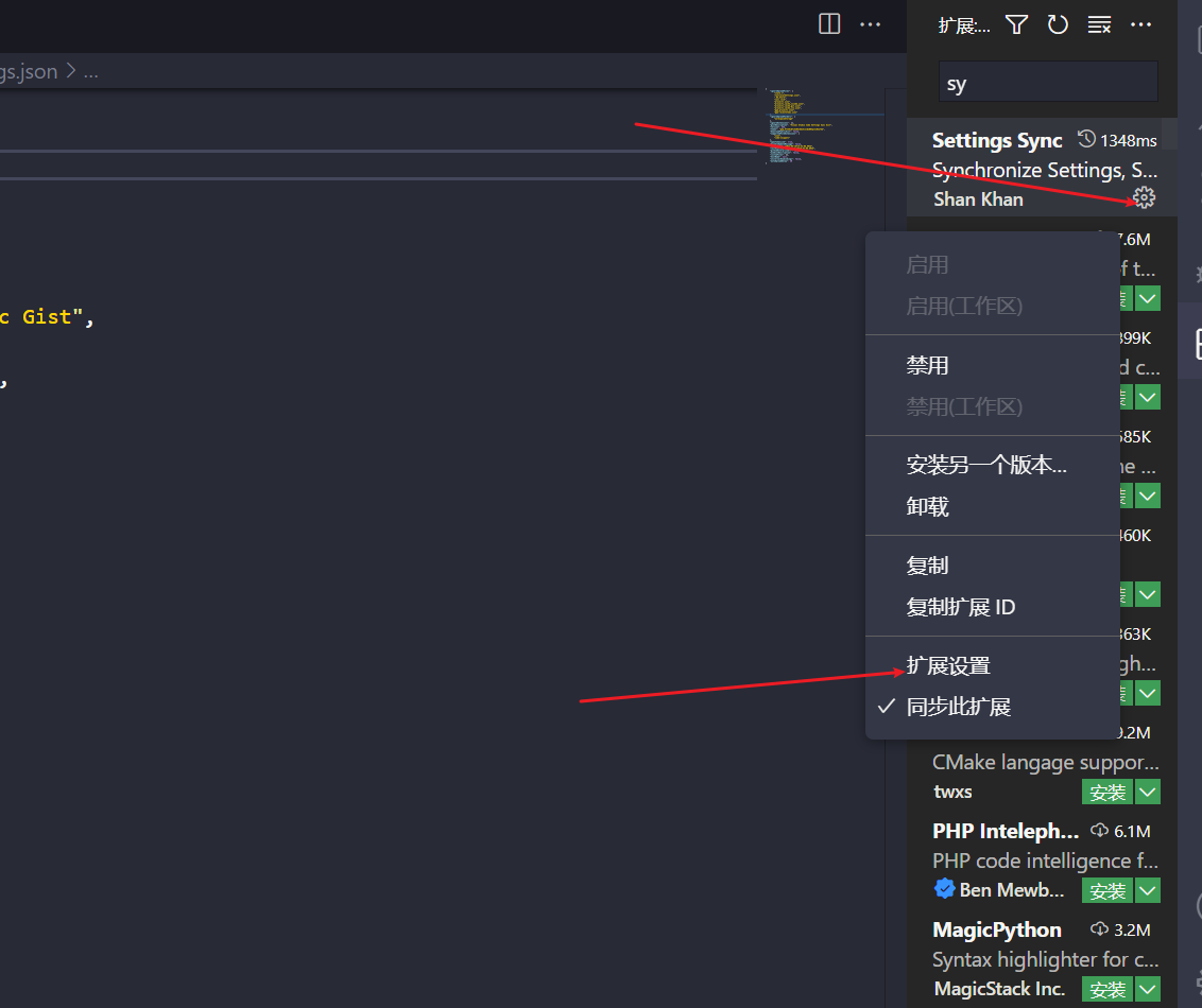 Settings Sync 配置与使用-CSDN博客