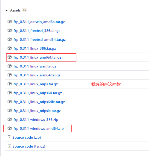 利用VPS服务器搭建一个FRP内网穿透服务和Web服务穿透_vps frp-CSDN博客