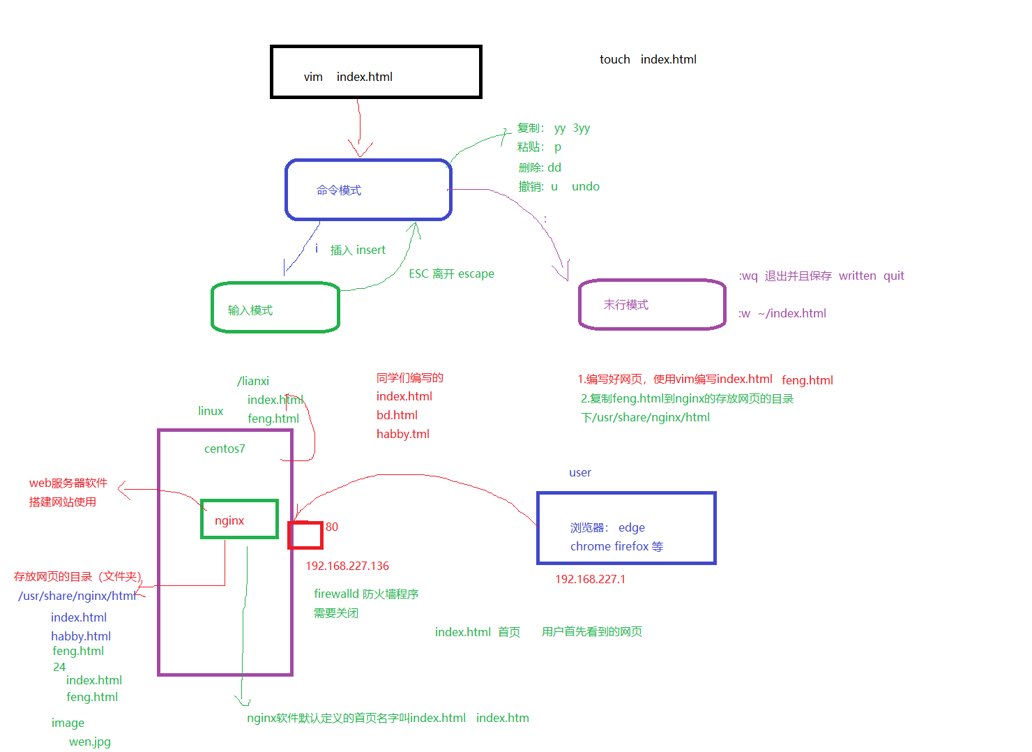 Linux基本命令 2 Csdn博客