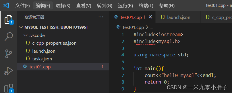 Windows下vscode连接linux中的mysql(非常实用)vscode 连接数据库 Csdn博客