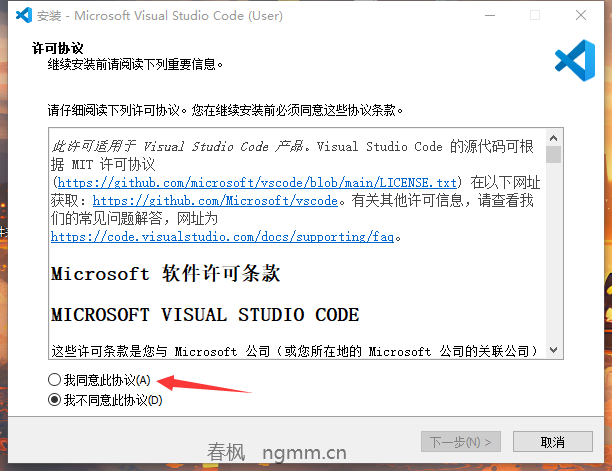 Visual Studio Code安装教程+设置中文(超详细图解)_visual studio code1.81.1-CSDN博客
