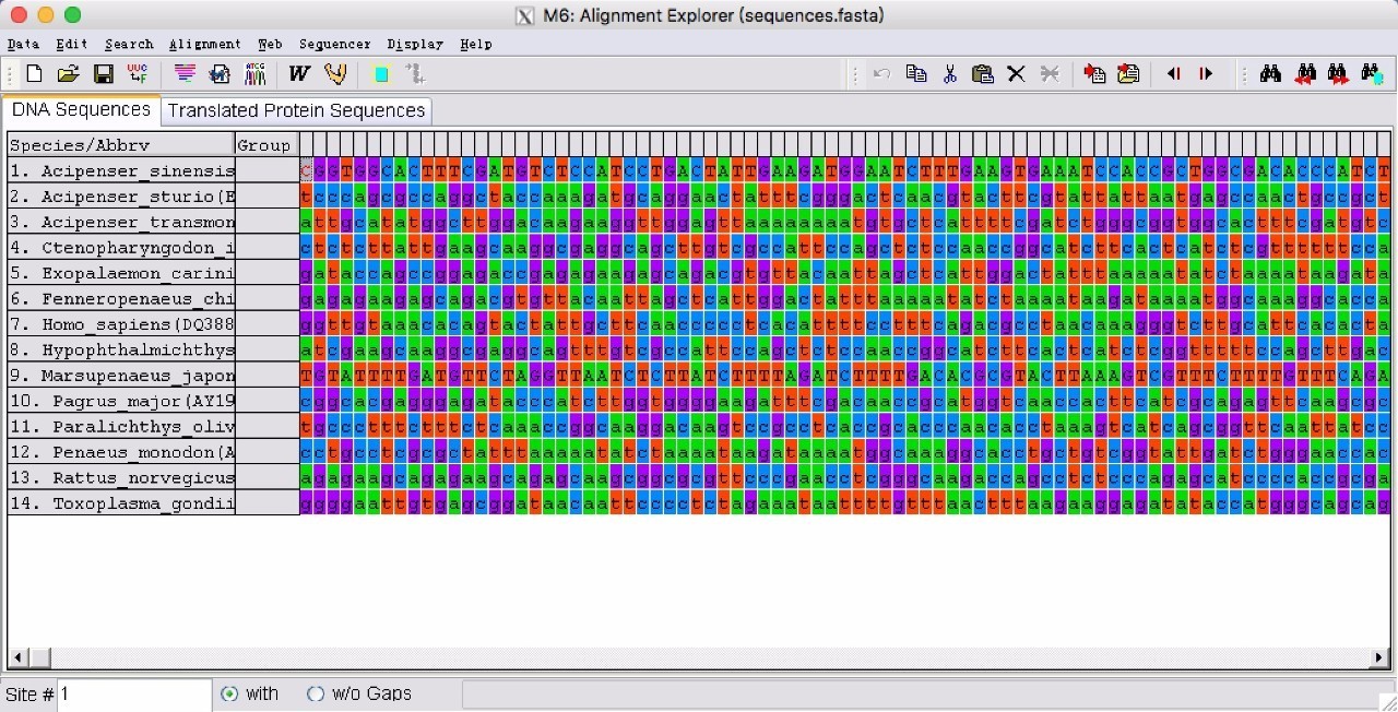 linux合并fa文件_fasta文件的合并与分割-CSDN博客