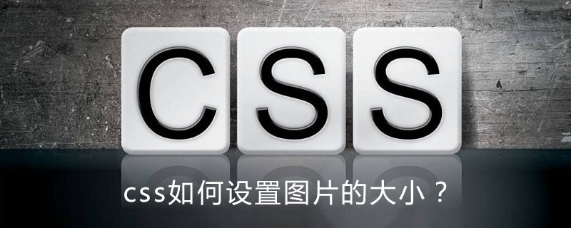 Html文字下方图片如何调整大小css如何设置图片的大小? Csdn博客