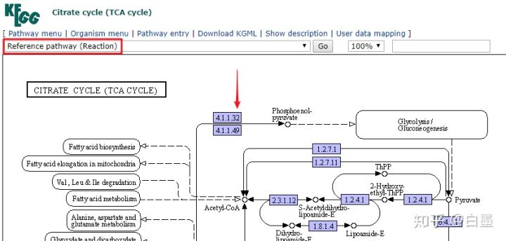 一文快速读懂 KEGG 数据库与通路图_kegg通路图怎么看-CSDN博客