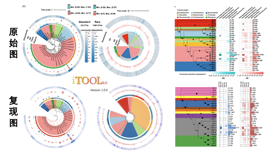 使用iTOLkit学群落组装机制（iCAMP）可视化-CSDN博客