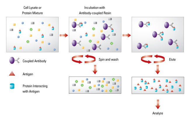 一文读懂CoIP实验：原理、实验流程、遇到的问题-CSDN博客