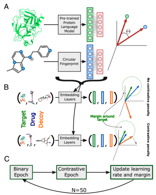 蛋白质语言空间的对比学习预测药物和蛋白质靶标之间的相互作用_评估靶蛋白与单味药理作用的概率图-CSDN博客