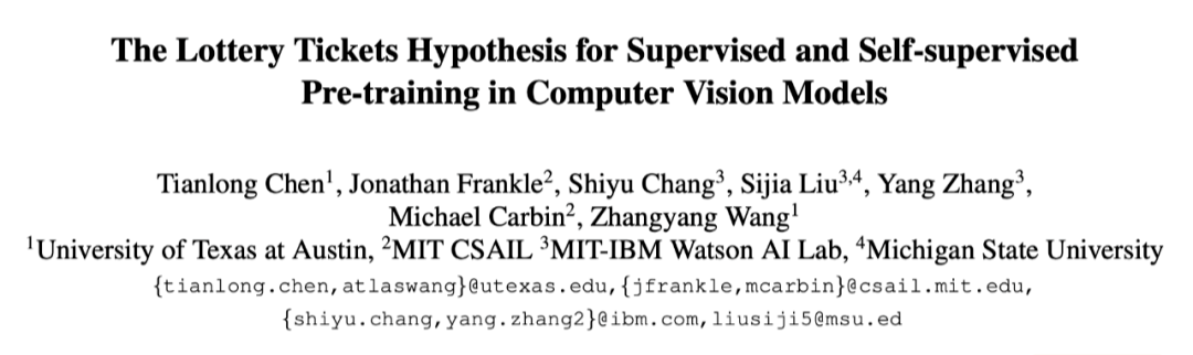 【精选】彩票假设 (Lottery Ticket Hypothesis) 在CV、NLP和OOD领域的应用-CSDN博客