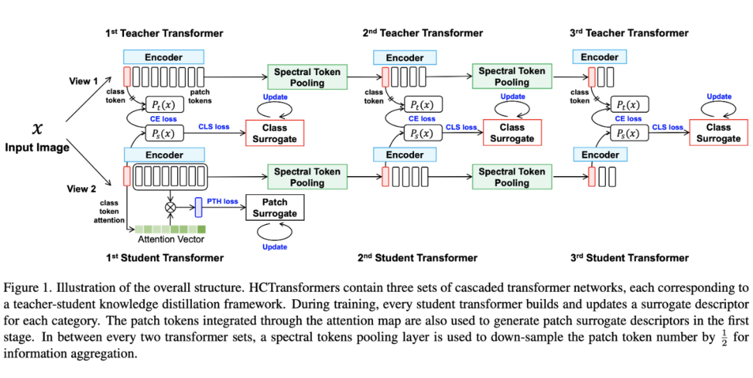 小样本学习下的Transformer：基于谱聚类层和标签代理学习-CSDN博客