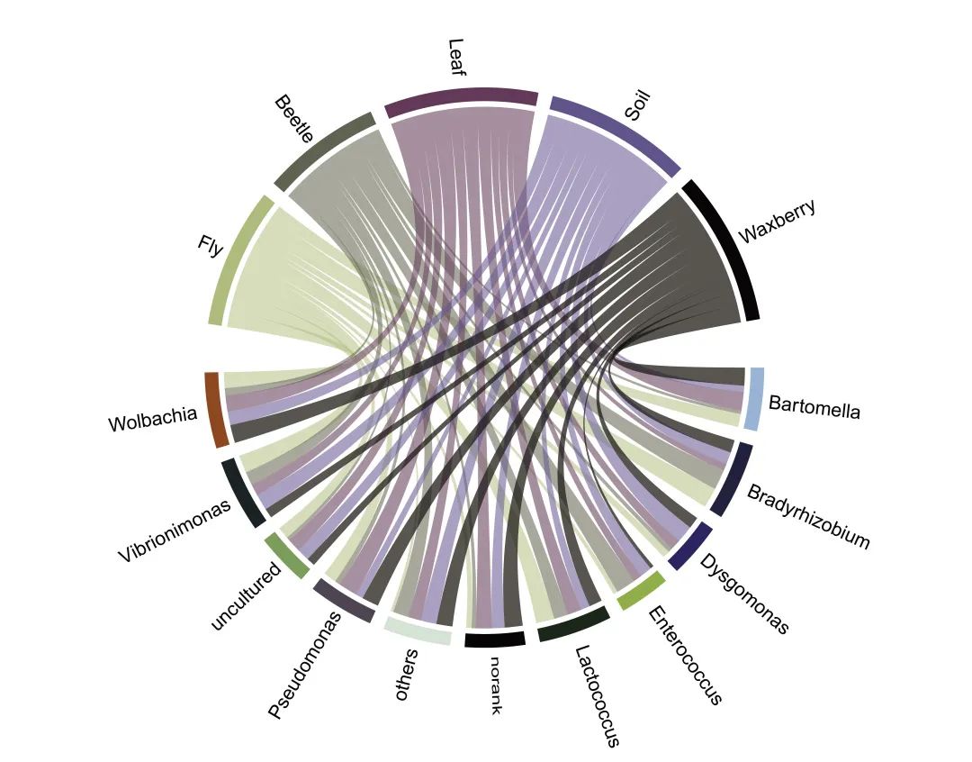 跟着iMeta学做图｜circlize绘制和弦图展示样本物种相对丰度-CSDN博客