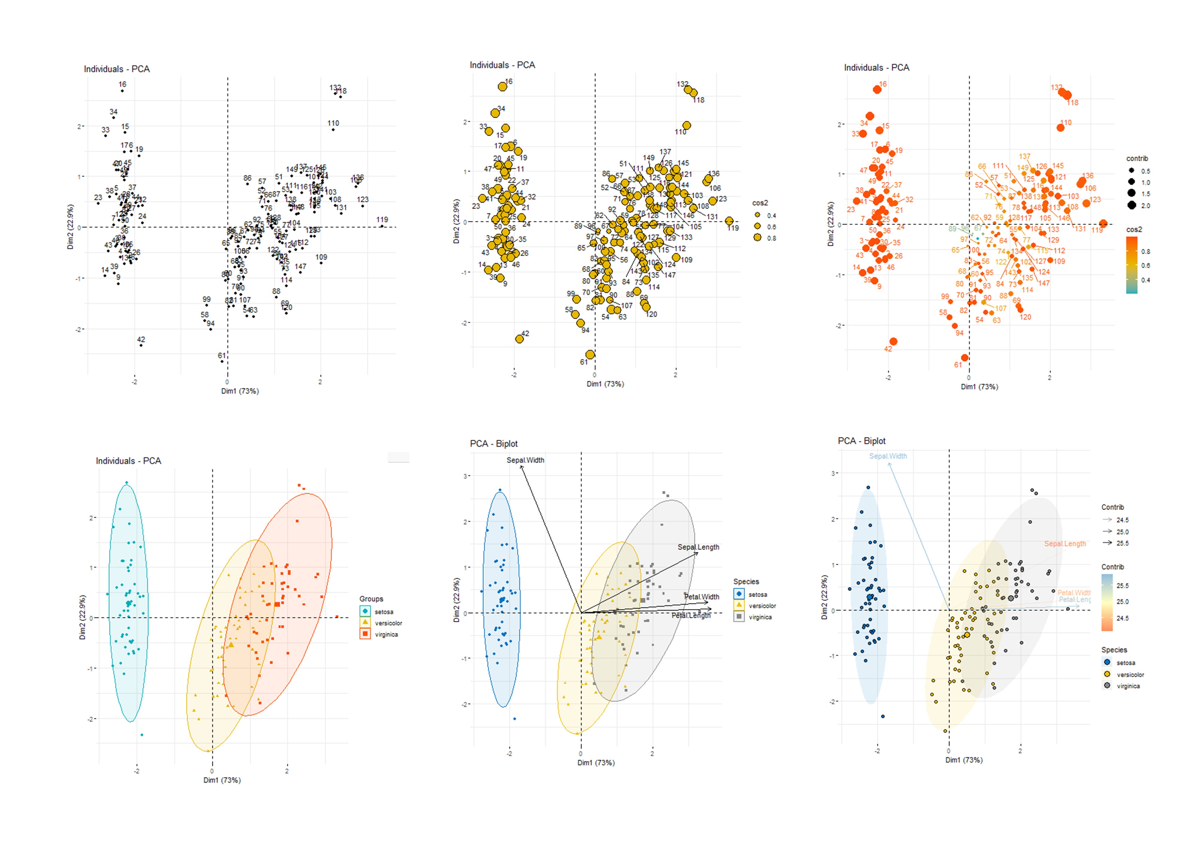 11篇文章详解聚类和PCA可视化_图像数据集pca可视化-CSDN博客