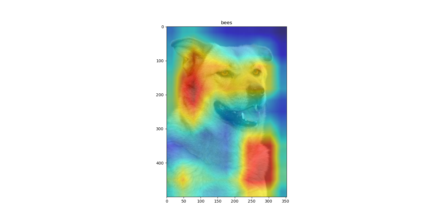 自训练densenet的grad_cam可视化_densenet gradcam-CSDN博客