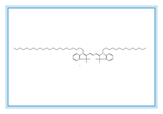 PKH-26 (RED) 外泌体示踪染料，154214-55-8，进行体外荧光标记示踪，细胞体外标记_pkh26全称-CSDN博客