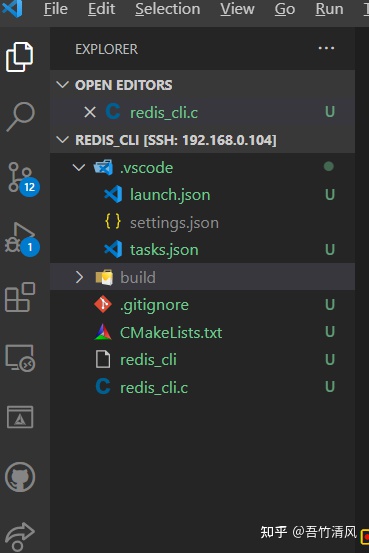 Vscode在win下远程调试linuxcmake（cc）vscode远程linux调试板卡程序 还需要在linux上安装一个什么东西 Csdn博客
