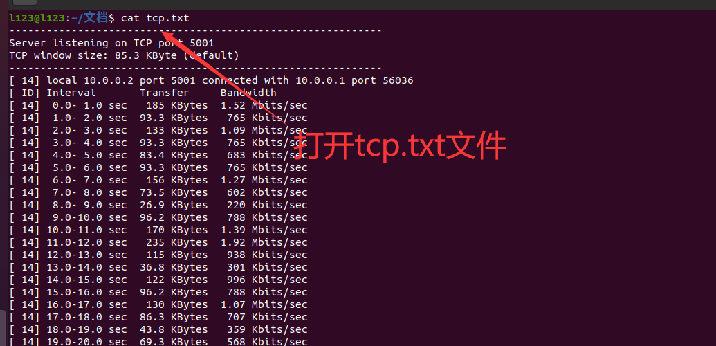 mininet中iperf数据绘图_iperf数据转曲线图-CSDN博客
