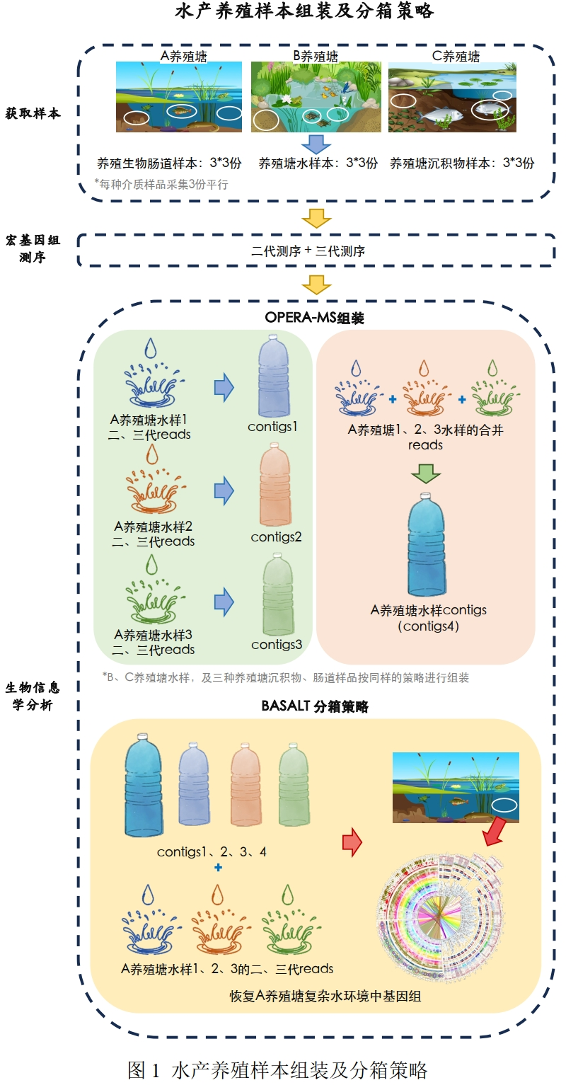 官方使用文档 | 最好的分箱工具BASALT-v1.0.1配置及中文使用说明（2024.04）-CSDN博客