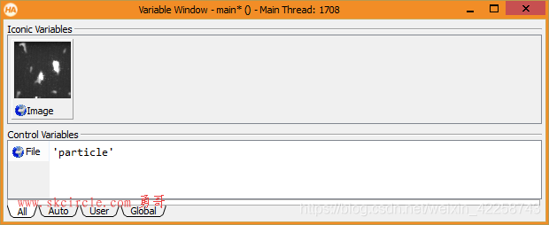 Halcon基本语法_halcon 数值平方-CSDN博客