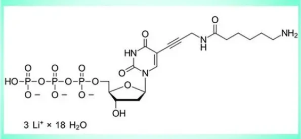NH2-11-dUTP，氨基-11-三磷酸胞苷，氨基-11-dUTP，用于基础科学研究-CSDN博客
